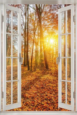 Wallario Poster - Sonnenuntergang im herbstlichen Wald in Premiumqualität, Größe: 61 x 91,5 cm mit Fenster-Illusion (Maxiposter)