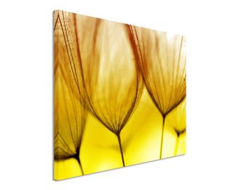 Paul Sinus Art 120x80cm Wandbild - Farbe Orange Gelb - Leinwandbild auf Keilrahmen in Bester Qualit&auml;t - Makroaufnahme L&ouml;wenzahn