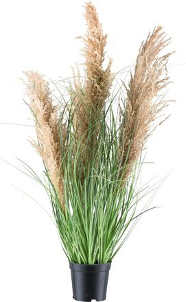 Creativ Green k&uuml;nstliches Natur-Schilfgras 75cm mit echten Wedeln I k&uuml;nstliches Schilfgras wie echt im Topf I dekoratives Pampasgras f&uuml;r Innen I hochwertige & dekor