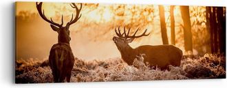 Arttor Panorama Bilder auf Leinwand Deer Heidekraut Tier Leinwandbild 90x30cm Wandbilder Dekoration Wohnzimmer Schlafzimmer K&uuml;che Klein Wanddeko Bild Wand Ku