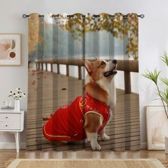 Generic Verdunkelungsvorhang Charmant Thermovorhang K&auml;lteschutz Corgi Blickdicht &Ouml;senschal f&uuml;r Gardinen Wohnzimmer & Schlafzimmer H 260 x B 300 cm 2er Set b93