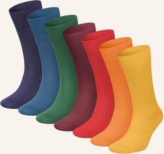 DillySocks Dillysocks 7er-Pack Socken Ribbed Rainbow Collection braun