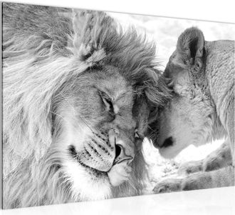 Runa Art Bild Afrika Modern Wandbilder Wohnzimmer Schlafzimmer 1 Teilig - Made In Germany - Löwen Liebe Schwarz Weiss Flur 002115c