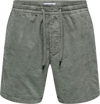 Only & Sons Shorts ONSTel
