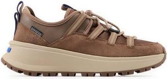 Geox Baskets basses