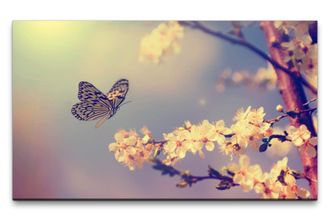 Paul Sinus Art Bilder XXL Schmetterlinge auf AST 120x70cm Wandbild auf Leinwand