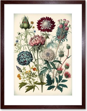 Artery8 Ernst Haeckel Style Vintage Botanical Plant Study Modern Watercolour Painting Illustration Artwork Framed Wall Art Print 12X16 Inch