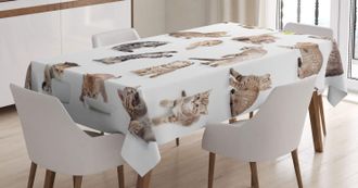 Abakuhaus Katze Tischdecke, Lustige Spielerische Katzen Bild, Personalisierter Druck mit Klaren Farben Waschbar Wasserfest kein Verblassen, 140 x 200 cm, Schwar