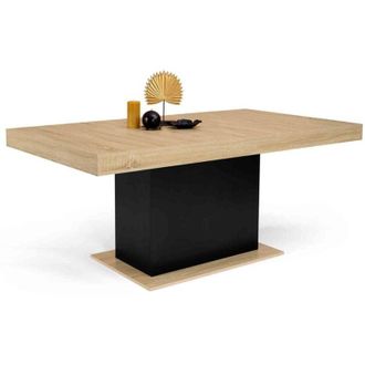IDMarket Table à manger rectangle EDEN 8 personnes bois et noir 160 cm