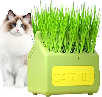 Generic Pflanzkasten f&uuml;r Katzengras, Pflanzschale f&uuml;r Katzengras, Antigrabungsschalen f&uuml;r Grassprossen in Milchbox-Form, abnehmbares Katzengras-Set, Blumentop