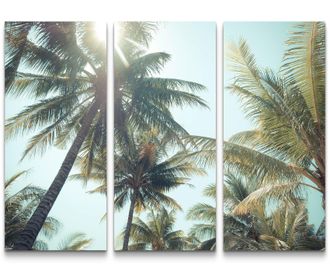 Paul Sinus Art Palmen am Strand - Vintagefotografie - 3 teiliges Wandbild Gesamtgröße 130x90cm