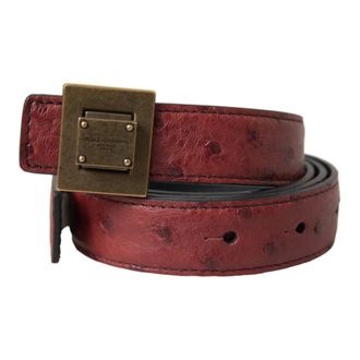 Dolce & Gabbana Damen, Accessories, Braun, 85 CMGr&ouml;&szlig;e