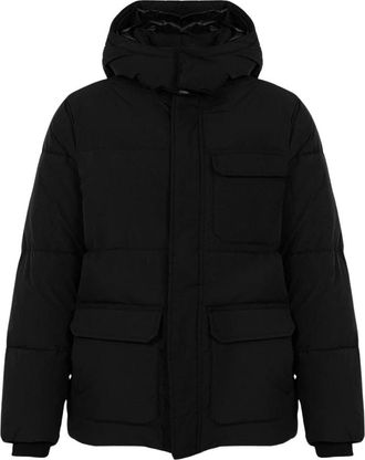 Pepe Jeans London Gesteppte Kapuzenjacke - - Jackets - Herren - Schwarzk - L