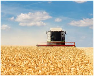 Wallario Poster - Erntezeit auf dem Feld in Premiumqualit&auml;t, Gr&ouml;&szlig;e: 40 x 50 cm