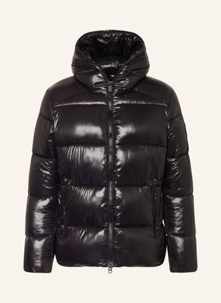 Save The Duck Save The Duck Steppjacke Edgard schwarz