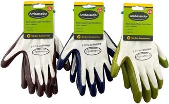 Ambassador M ST13033