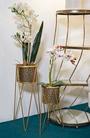 Dmora Dekoration Boltiere Gold