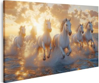 Islandburner Bild auf Leinwand Weiße Pferde rennen im Sonnenuntergang am Meer Bilder Wandbilder Poster