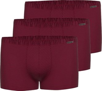 Ammann Cotton & More - Retro Short/Pant - 3er Pack (5 Bordeaux)
