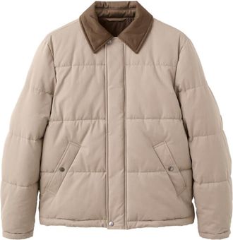 Mango Jacke Beard