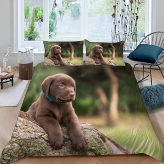 Generic Bettw&auml;sche 135x200 Brauner Labrador Retriever 3D Bettw&auml;sche-Sets S&uuml;&szlig;er Welpe 3 Teilig Superweich Mikrofaser Bettbezug und 2 Kissenbez&uuml;g 80&times;80cm mit Re