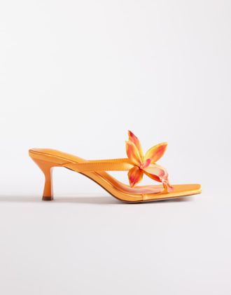 Simmi London SIMMI London - Ruby - Sandaletten in Orange mit Kitten Heel und Blume