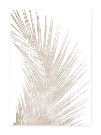 Bildershop-24 Palmenblatt beige 2 50x70 cm