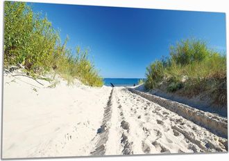 Wallario Herdabdeckplatte/Spritzschutz aus Glas, 1-teilig, 90x52cm, für Ceran- und Induktionsherde, Auf dem Sandweg zum Strand - Blauer Himmel über dem Meer