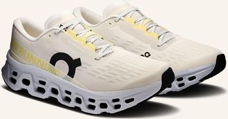 On Laufschuhe Cloudmonster 3 grau
