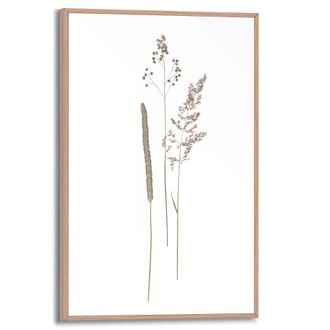 Reinders Gerahmtes Bild, Dried Flowers, Wohnzimmer, Poster, Wanddeko, Room Decor, MDF, Beige, 30 x 20