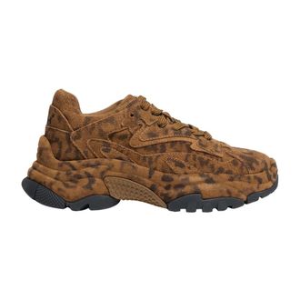 Ash Addict BIS - Femme - Chaussures - Brun - Taille: 36 EU