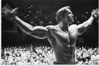 Generic Inspirierende Fitness-Zitate Arnold Schwarzenegger Poster (3) Heimdekor-Poster Wandkunst zum Aufhängen Bild Druck dekorative Malerei Poster 20 x 30 cm