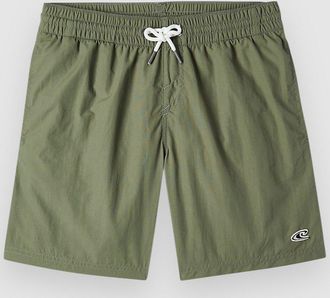 O'Neill Vert 14 Kids Boardshort vert