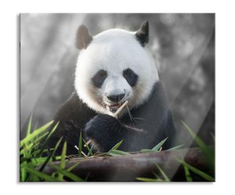 Pixxprint Niedlicher Panda isst Bambus Herdabdeckplatte & Spritzschutz aus Echtglas | Für Herd-Kochfelder | 60x52 cm