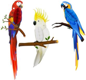Valiclud 3 Stück Teiliges Tropische Papagei Waben papierdeko Wasser Ölabweisend Geruchlos Langlebig Einfache Montage Vielseitig Einsetzbar für Party Raum Festd