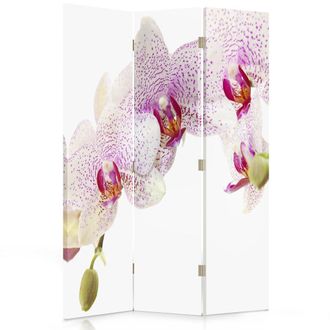 Feeby Paravent Orchidee 110x150 cm 3 Teilig Modern Design einseitig Raumteiler Wandschirme Foto Trennwand Raumtrenner Sichtschutz Spanische Wand auf Leinwan