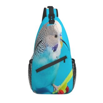 AOOEDM Budgie Parrot Play Skateboard Cross Chest Bag Diagonally Sling Rucksack Crossbody Umhängetasche Reisen Wandern Daypacks für Männer Frauen