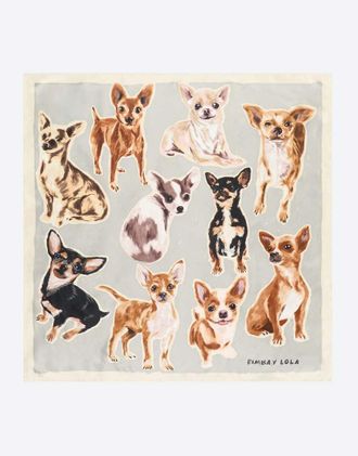 Bimba & Lola &eacute;charpe &agrave; imprim&eacute; Chihuahua grise