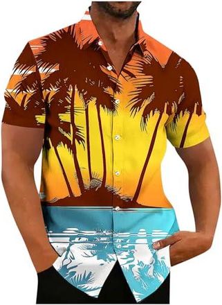 Generic Chemise hawa&iuml;enne d&eacute;contract&eacute;e &agrave; manches courtes pour homme, tendance, classique, l&eacute;g&egrave;re, respirante, ample, confortable, boutonn&eacute;e, pour lext&eacute;rieur, 