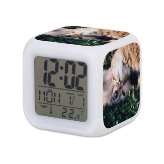 Fabulous Wecker, W&uuml;rfel, beleuchtet, Wei&szlig; - Freunde Hund und Katze Liebe Calin Niedlich Langhaar - 7,8 x 7,8 x 7,8 cm - Retro Beleuchtung Mehrfarbig LED
