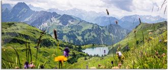 Pixxprint Glasbild Panorama, Wandbild aus Echtglas, Wiesenblumen in den Bergen, 100x40 cm, inkl. Aufhängung und Abstandshalter