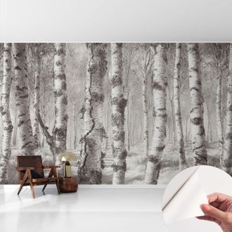 Tulup Carta Da Parati Autoadesiva Moderna - Fotomurale - Lavabile - Ufficio - Design Moderno - Bosco Di Betulle 416x254 Cm