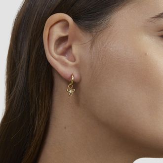 Tamaris Ohrring - Creole aus Edelstahl mit Zirkoniastein und Bl&uuml;tenanh&auml;nger - IP Gold - 1,5 cm - Klappverschluss - wasserfest & hautfreundlich