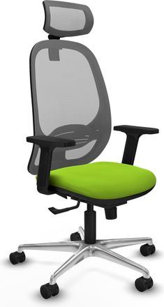 Piqueras y Crespo B&uuml;ro-Schreibtischstuhl mit 2D-Armlehnen, h&ouml;henverstellbare Lendenwirbelst&uuml;tze und Kopfteil, h&ouml;henverstellbar und neigbar, Grau/Pistazie