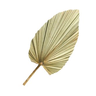 Cabilock 1st&uuml;ck Getrocknete Palmblatt Wanddekoration Olivgr&uuml;n Nat&uuml;rliche Deko F&uuml;r Hochzeiten Partys Und Wohnr&auml;ume Vivid Palm Leaf Art F&uuml;r Boho-Stil Und Kreativ