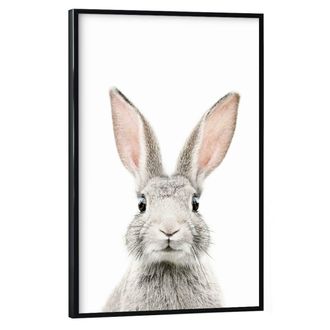 artboxONE Poster mit schwarzem Rahmen 45x30 cm Tiere Baby Bunny hochwertiger Design Kunstdruck - Bild Bunny Rabbit