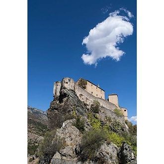 Ceanothe Tableau sur toile Haute Corse 30x45 cm D&eacute;coration Murale Art D&eacute;coratif Muraux Peinture Imprim&eacute;e en HD Salon Chambre Bureau Bois de For&ecirc;t FSC Fabriqu&eacute; 