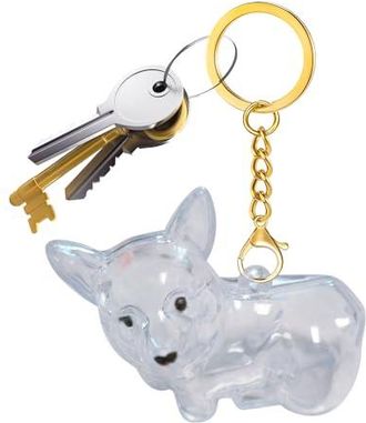 Generic Porte-clés porte-poils pour animaux de compagnie | Porte-clés pour chien | Amulette émotionnelle transparente avec compartiment | Pour sac à dos voitu