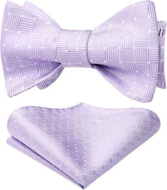 Hisdern Noeuds Papillon Homme Violet Clair Classique Mariage Élégant Affaires Noeud Papillon et Pochette Homme de Formelle Fete