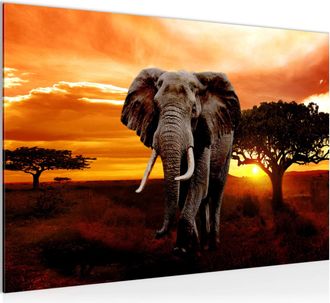 Runa Art Bild Afrika Elefant Modern Wandbilder Wohnzimmer Schlafzimmer 1 Teilig - Made In Germany - Afrikanische Motive Orange Flur 001215a